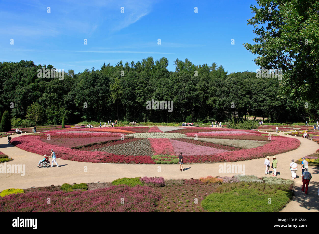Heidegarten (Heath Garden) Schneverdingen, Lüneburger Heath ...
