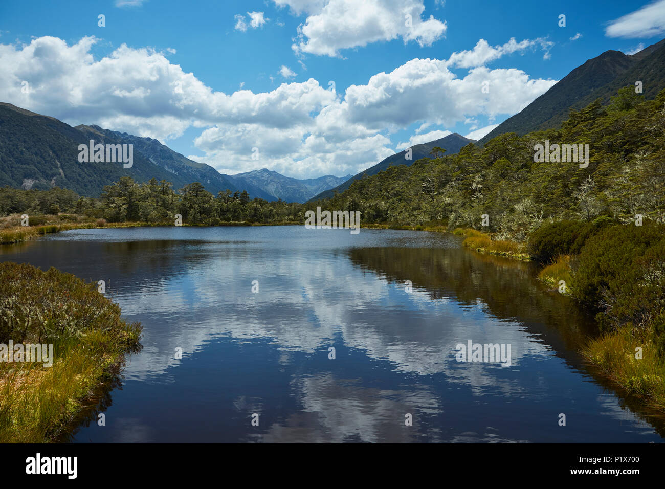 Alpine tarn by Lewis Pass, Canterbury, South Island, New Zealand Stock ...