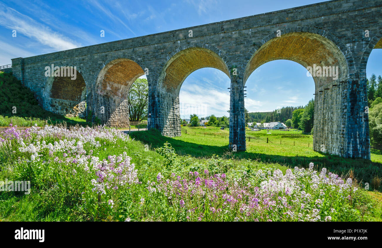 TOMATIN STONE RAILWAY VIADUCT WITH SPRING FLOWERS AND VILLAGE SCHOOL ...