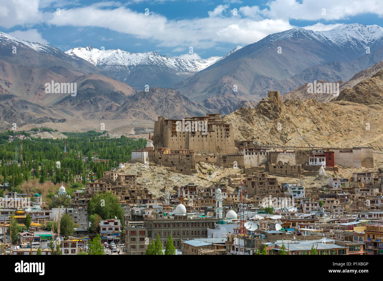 Beautiful view of Leh city and green Indus valley with the Leh palace ...