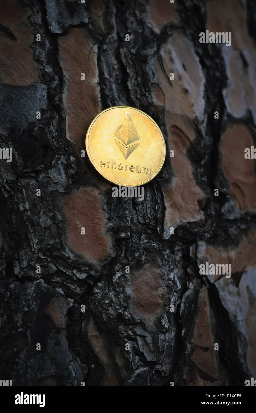 gold coins of the ethereum against the background of the tree bark ...