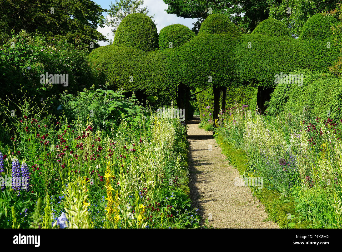 Box topiary hi-res stock photography and images - Alamy