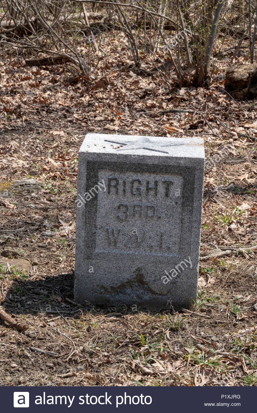 Right Flank High Resolution Stock Photography and Images - Alamy