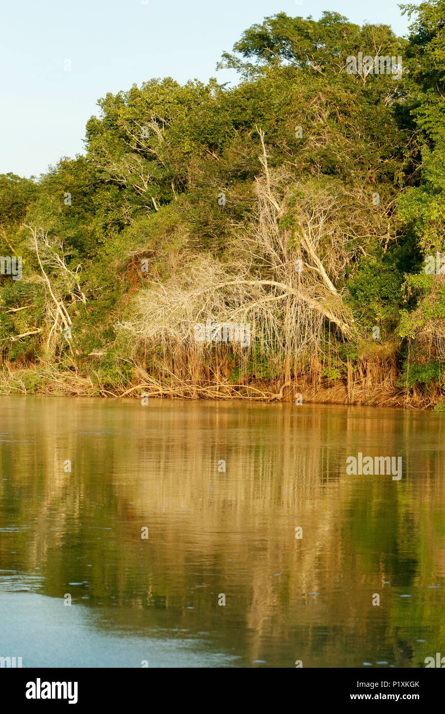 Cuiaba river sunrise pantanal mato hi-res stock photography and images ...