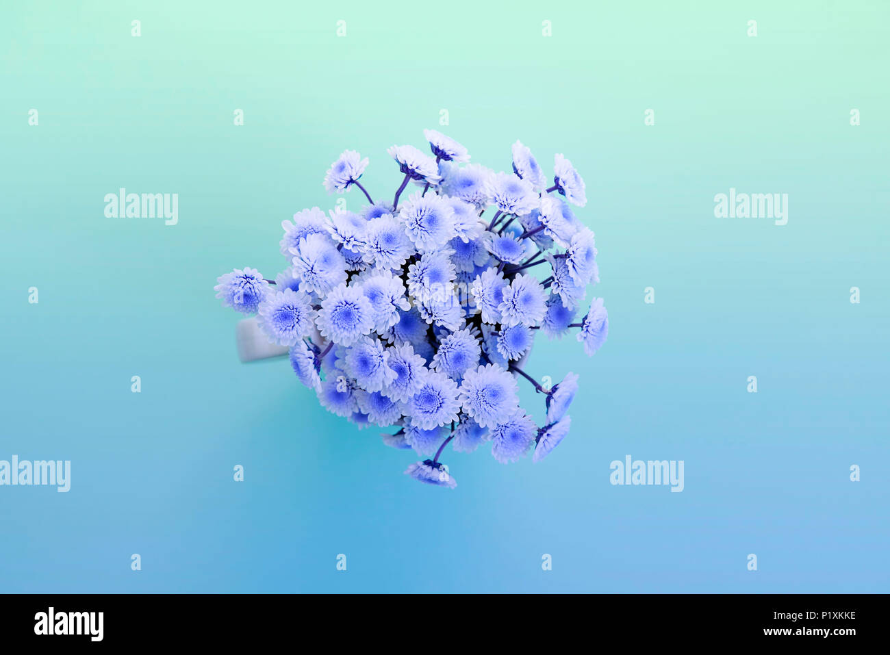 Banner Surrealism Bouquet of chrysanthemums on a purple background. Top ...