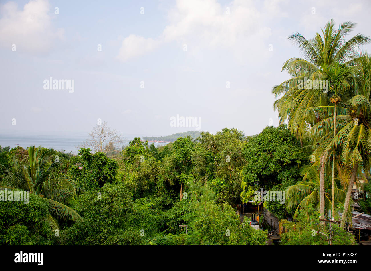 Beautiful landscape of tropical plants of the Andaman Sea to Port Blair ...