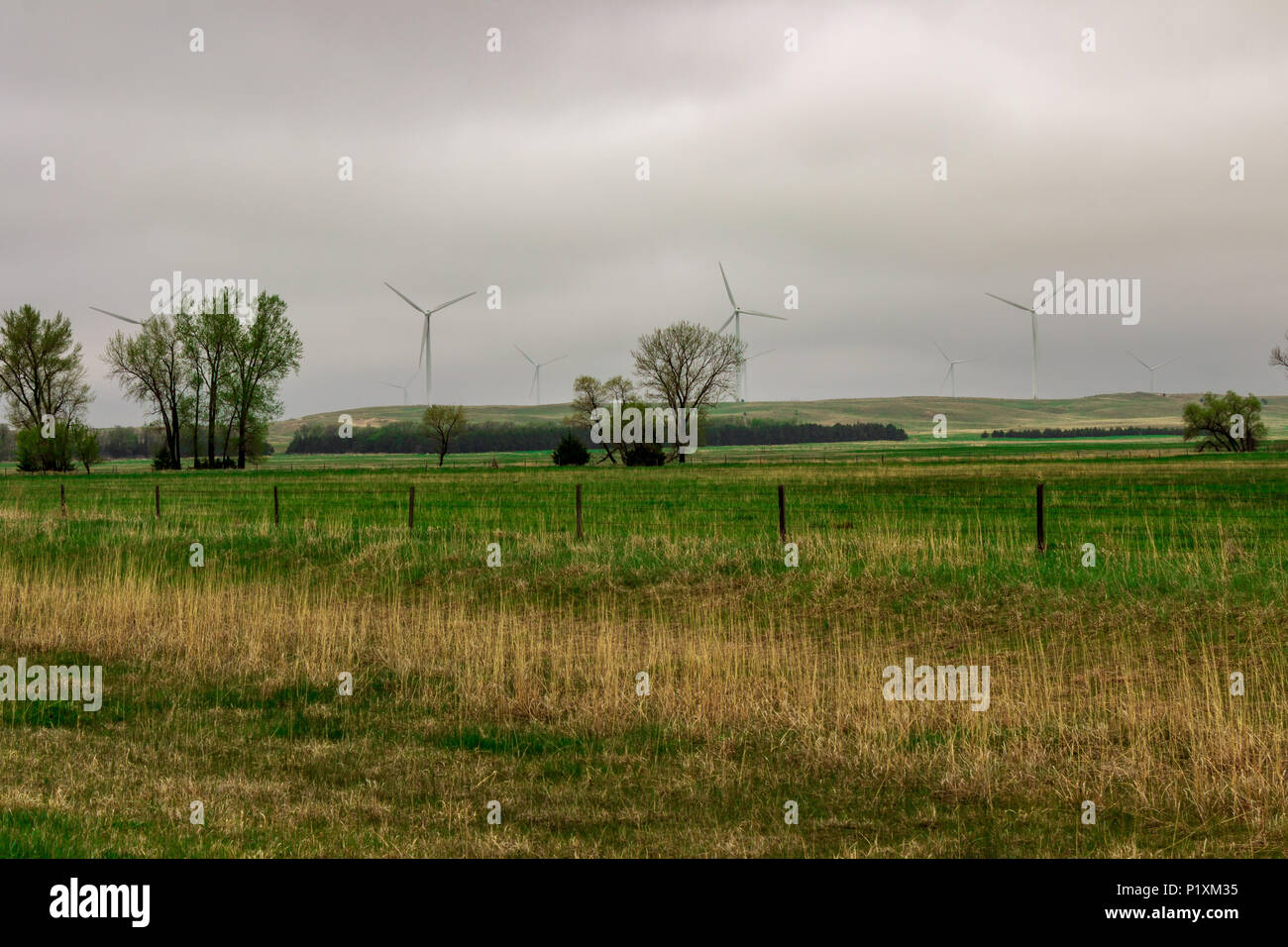 Wind turbines provide a backdrop to a cool spring day in the Sandhills ...