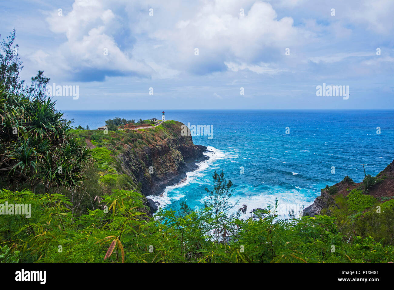 Jurassic park ranch kauai hawaii hi-res stock photography and images ...