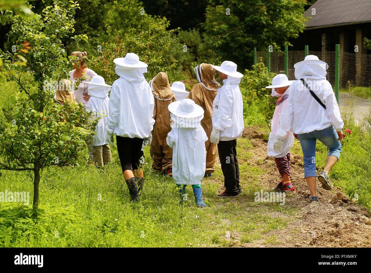 Group of young beekeepers are about to visit beehives Stock Photo - Alamy