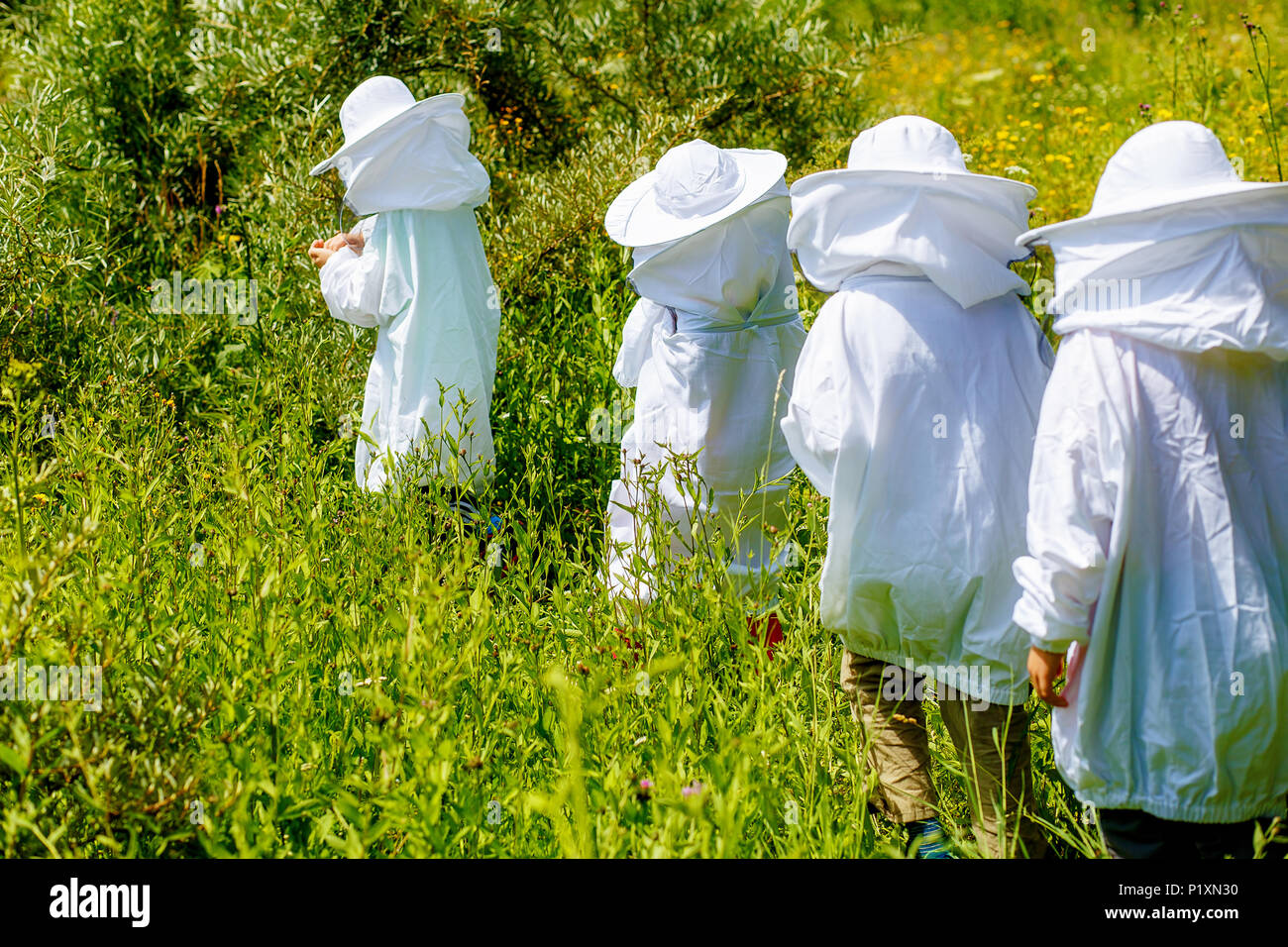 Group of young beekeepers are about to visit beehives Stock Photo - Alamy