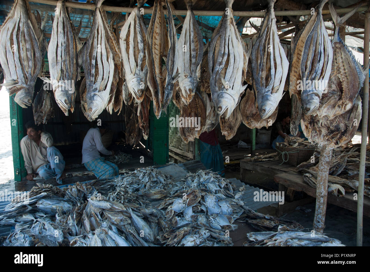 Dry fish shop at the Saint Martin's Island, locally known as Narkel ...