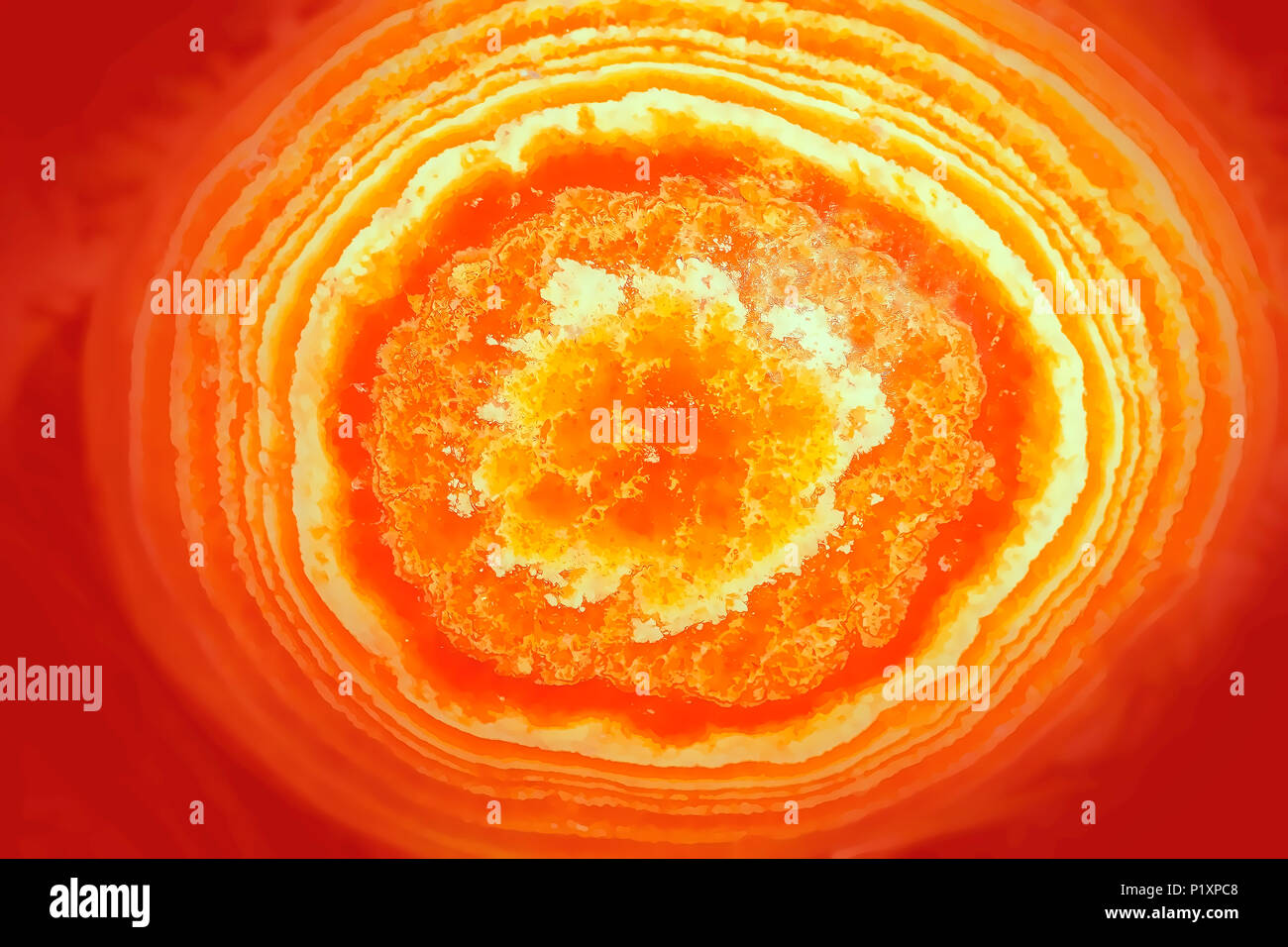 Beautifuly structured shaped semiprecious opal stone with layered ...