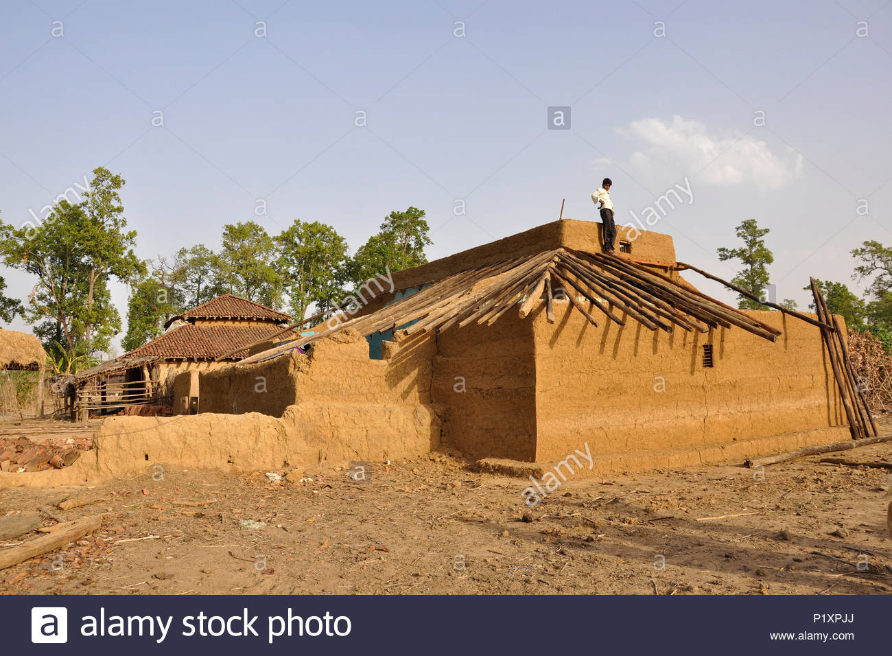 Baiga High Resolution Stock Photography and Images - Alamy