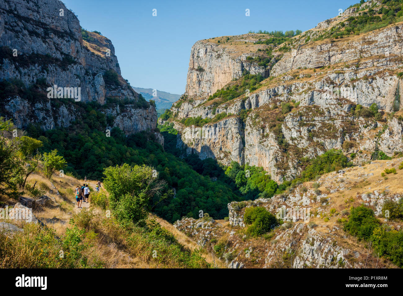 Honut hi-res stock photography and images - Alamy