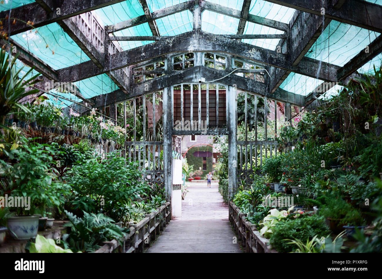 Tree and garden hi-res stock photography and images - Alamy