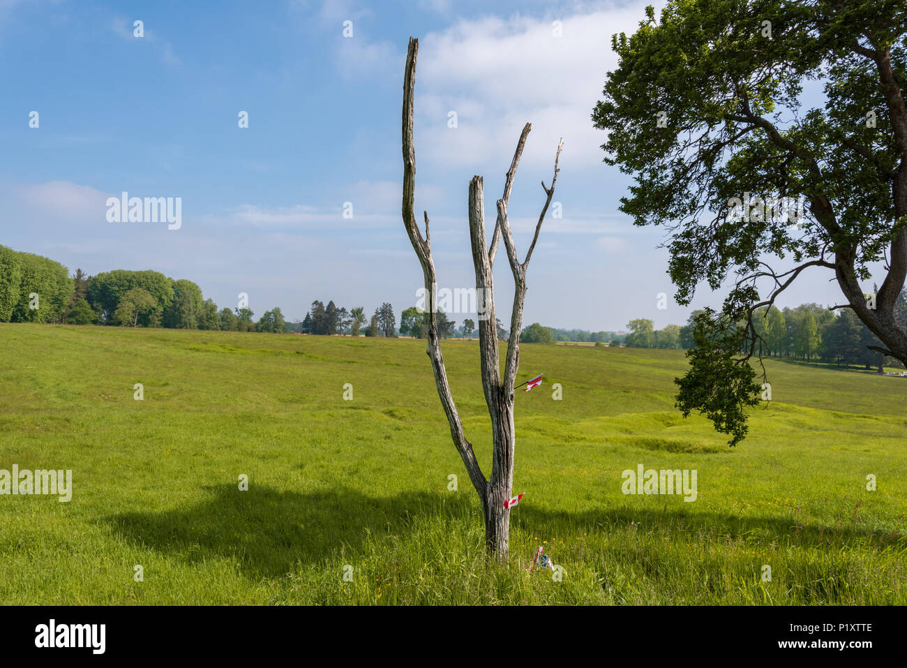 The danger tree hi-res stock photography and images - Alamy
