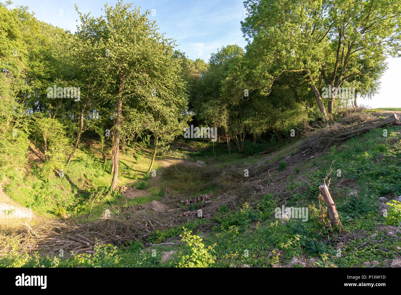Hawthorn Ridge Crater from first mine detonated on the first day of the ...