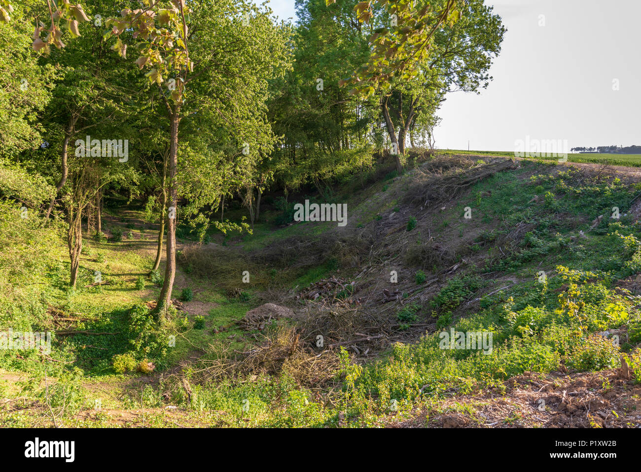 Hawthorn Ridge Crater from first mine detonated on the first day of the ...