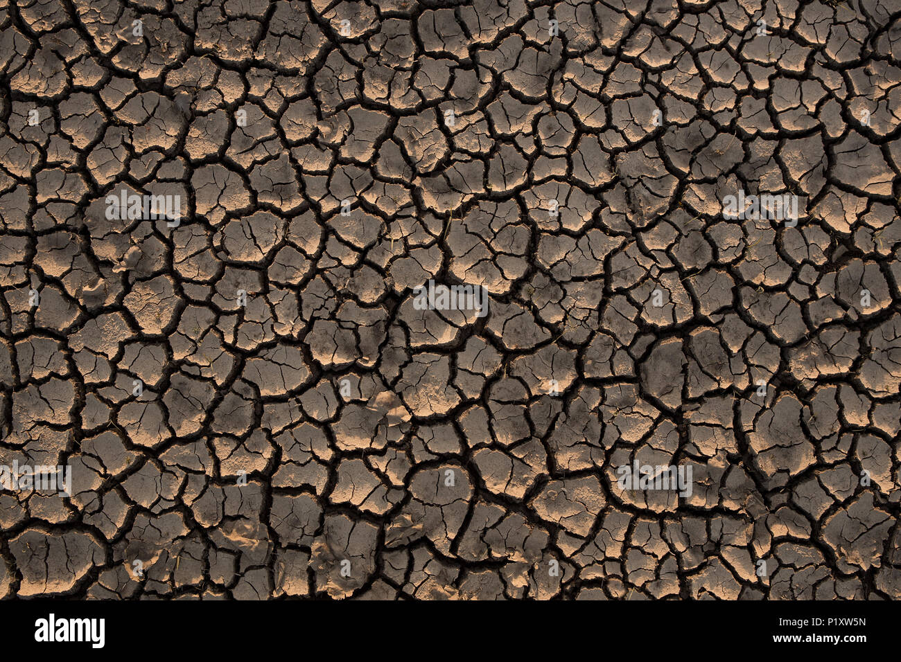 Cracked ground earthquake background texture hi-res stock photography ...