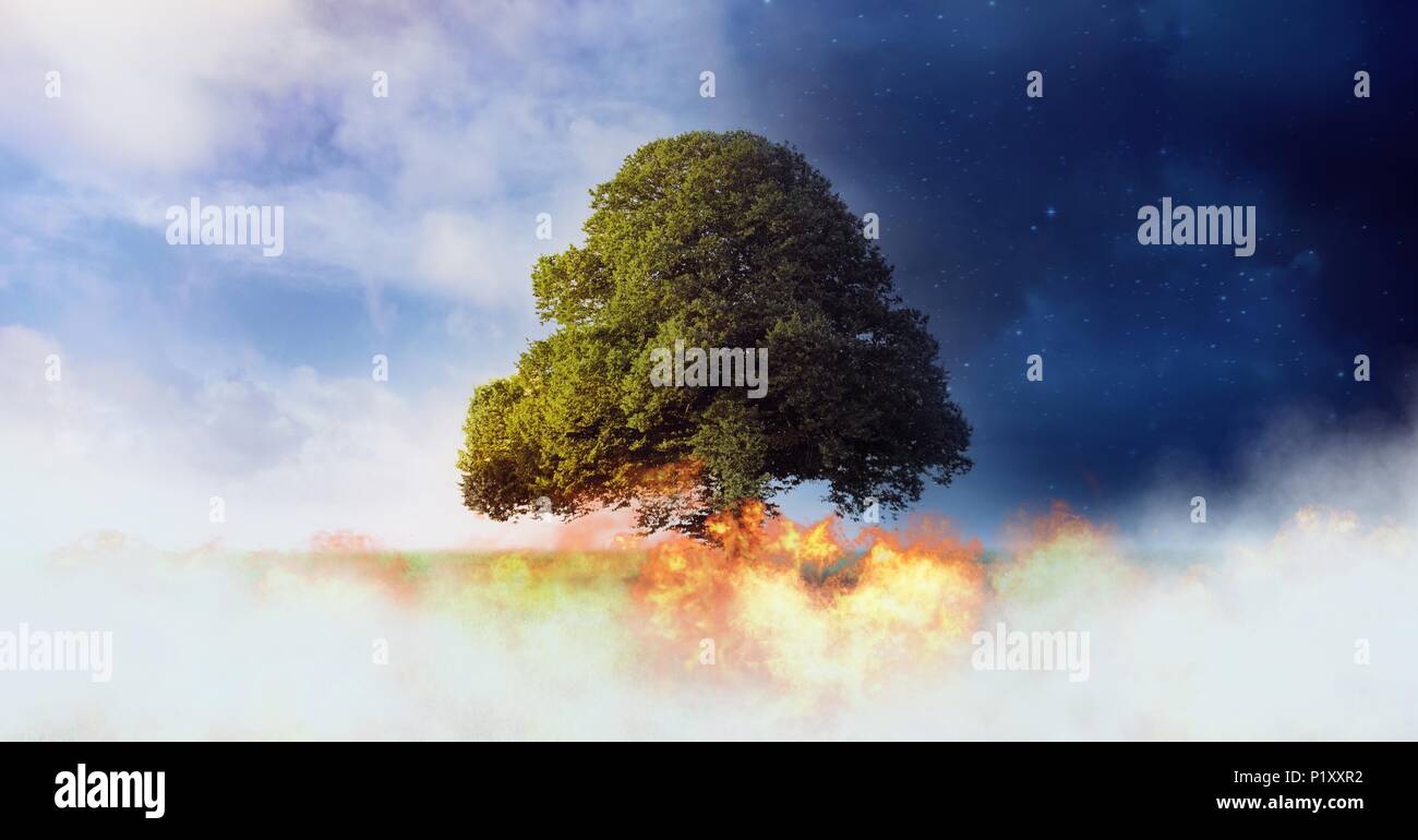 Burning tree hi-res stock photography and images - Alamy