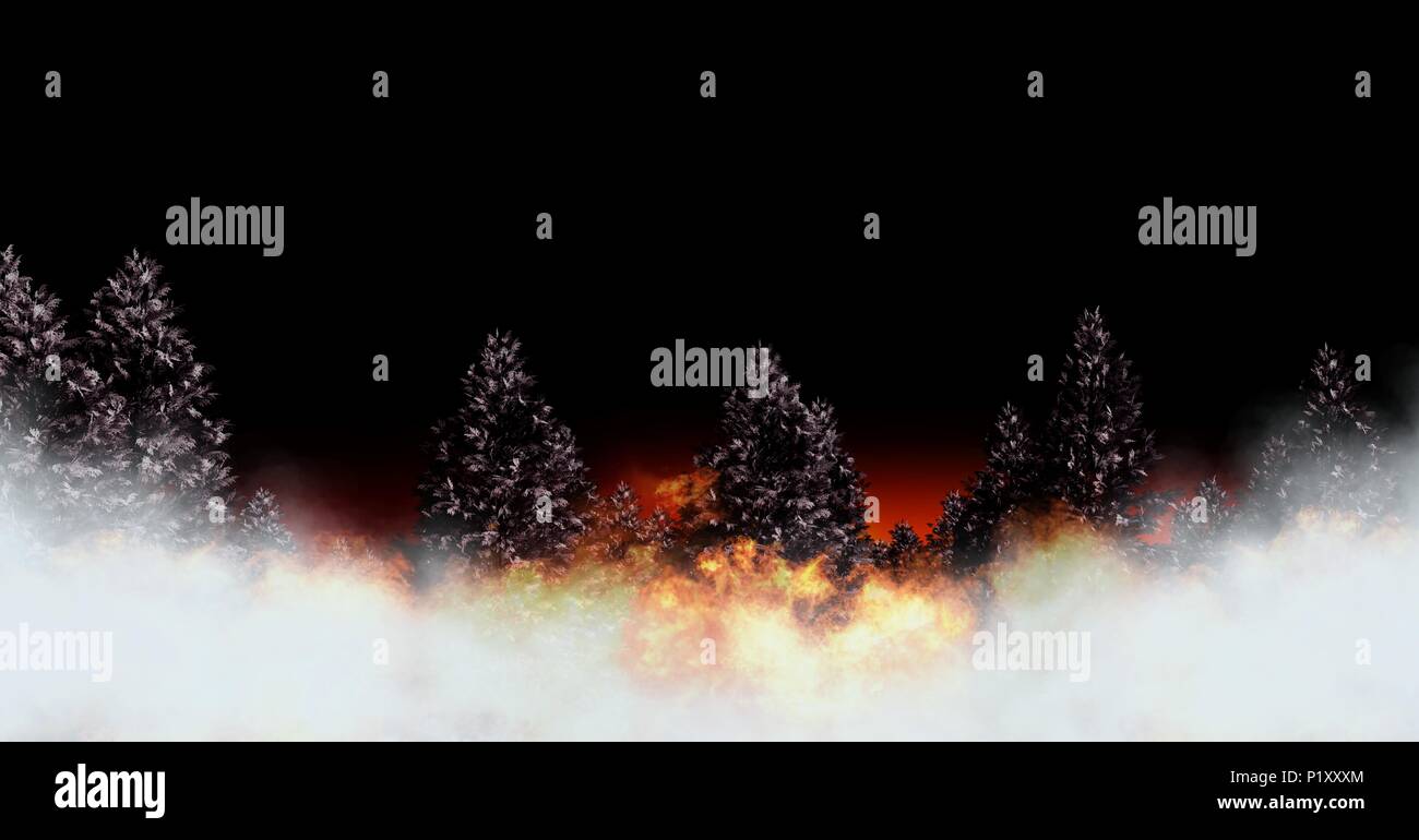 Tree forest and burning fire Stock Photo - Alamy