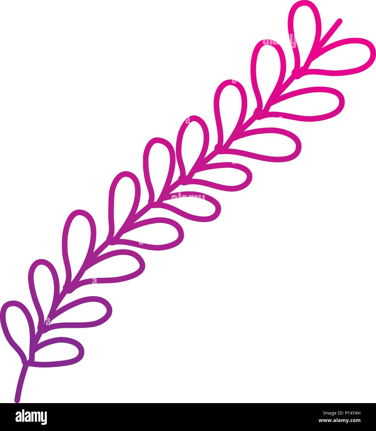 degraded line natural branch with tropical leaves plant Stock Vector ...