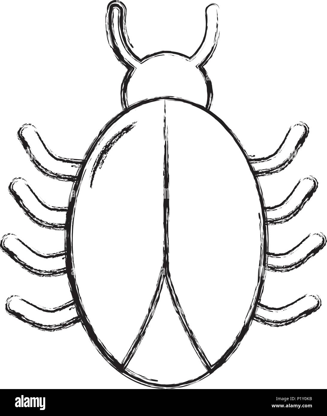 Grunge icon spider Black and White Stock Photos & Images - Alamy