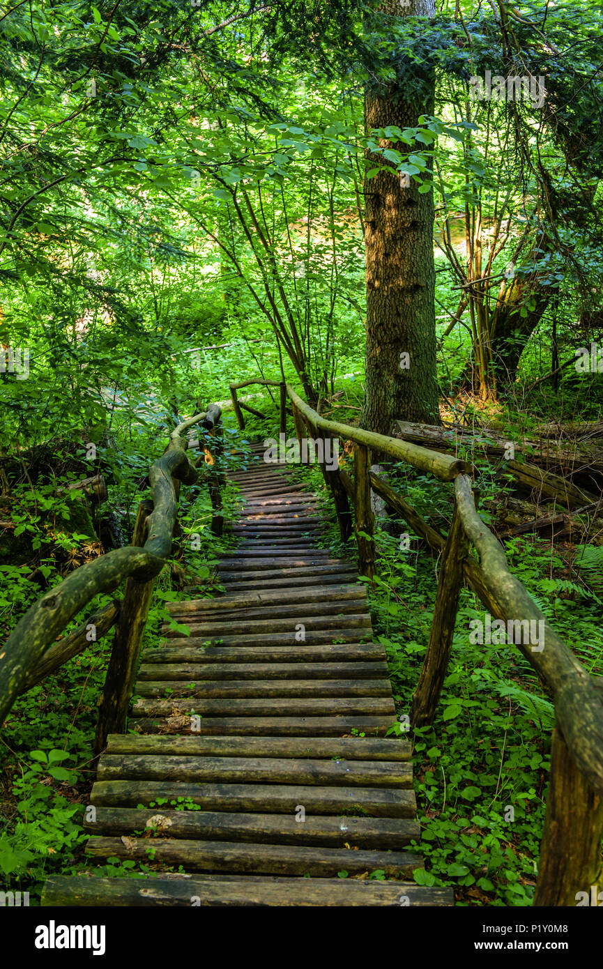 Wooden stairs leading down Stock Photo - Alamy