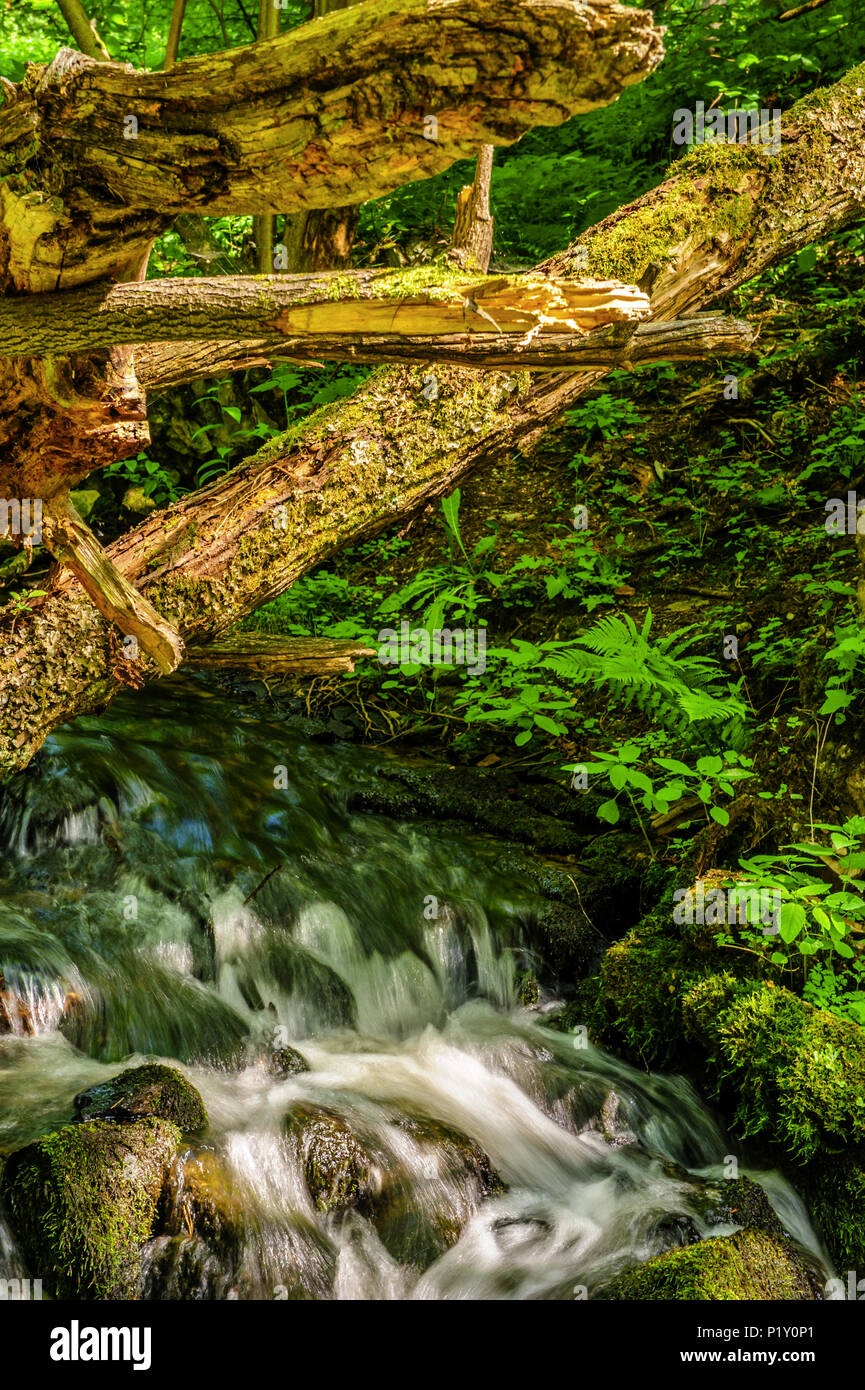 Cascade surge hi-res stock photography and images - Alamy