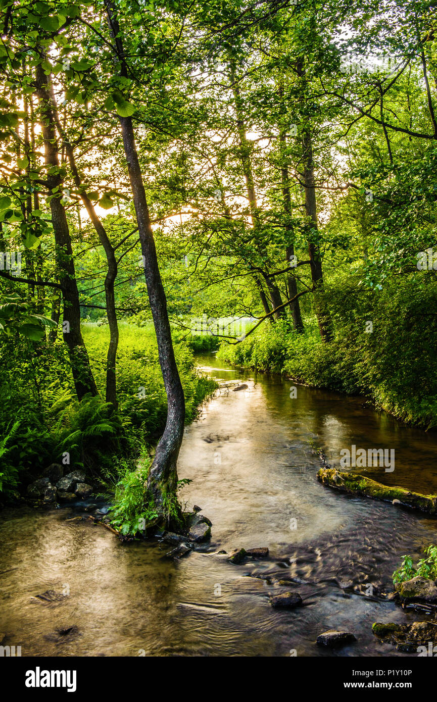 river in the light of the setting sun Stock Photo - Alamy