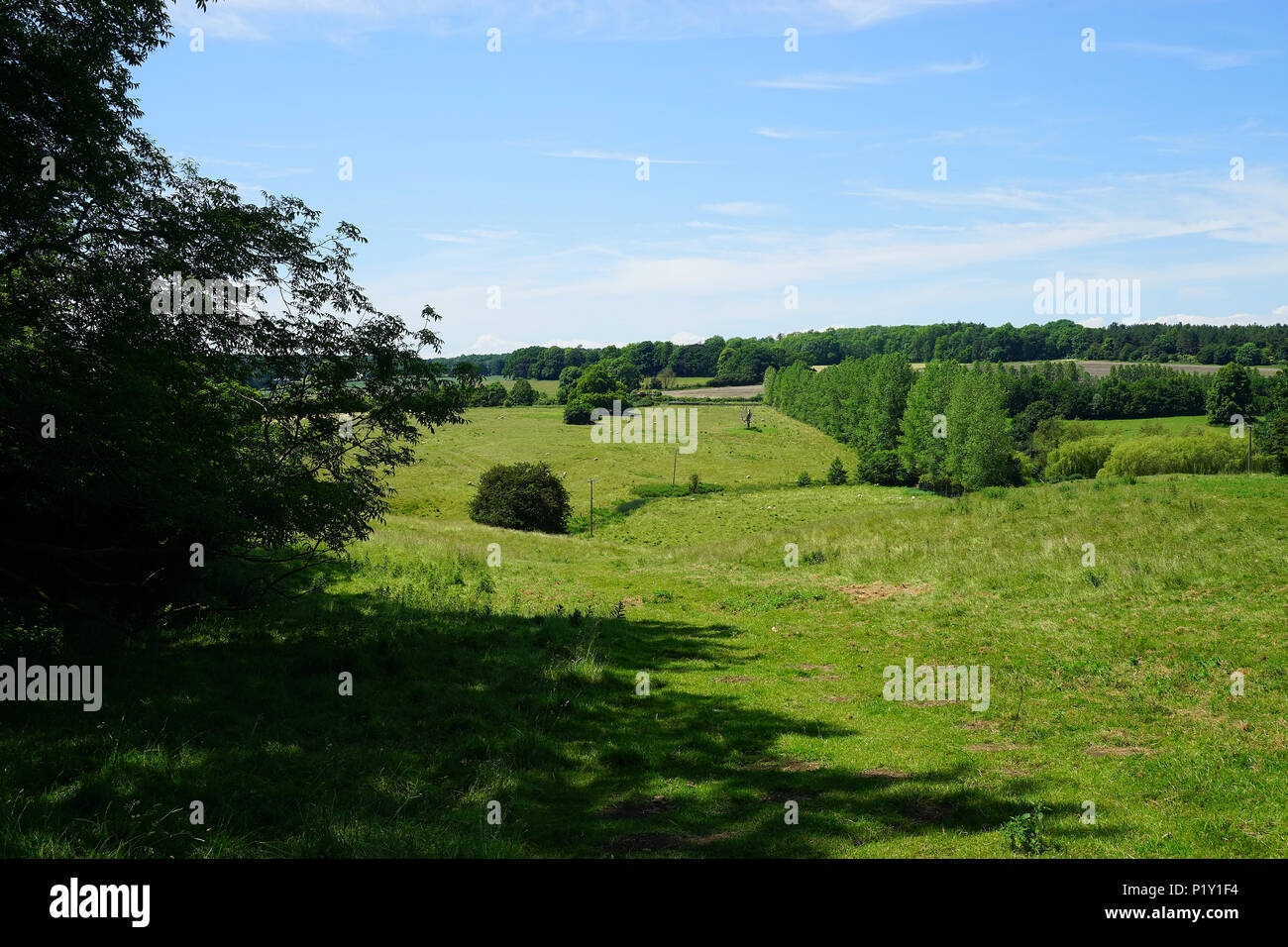 Fineshade hi-res stock photography and images - Alamy
