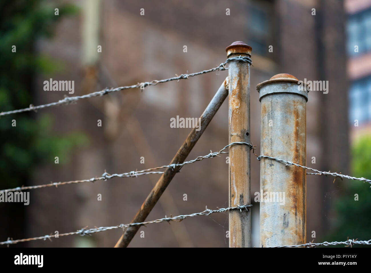 A rusted barbed wire fence still secures an abandoned factory in Sydney ...