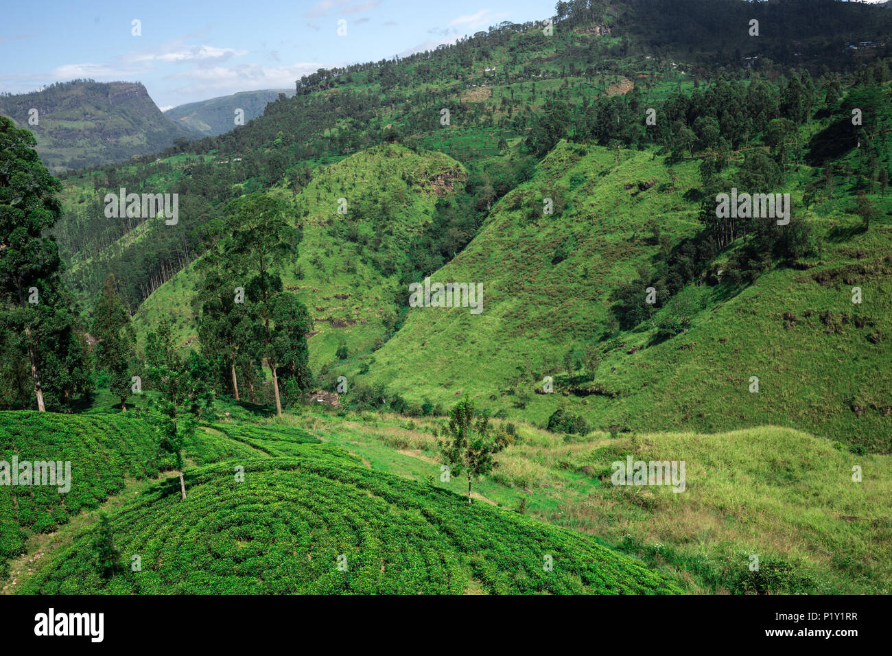 Beautifully landscape of Sri Lanka. beautiful blue sky and mountains in ...