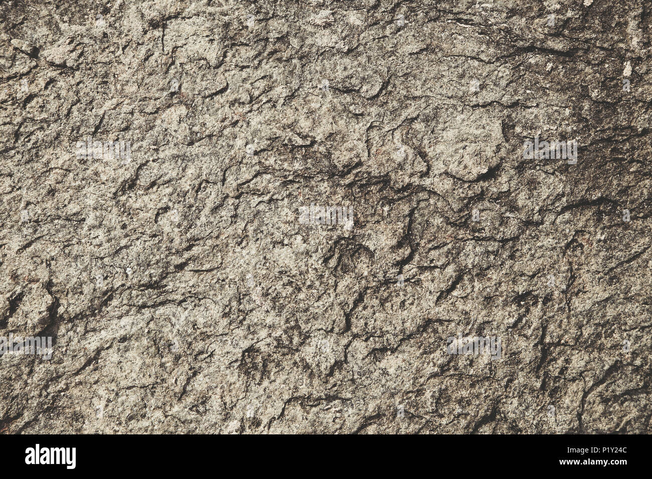 Rough stone background. Sandstone texture for background Stock Photo ...