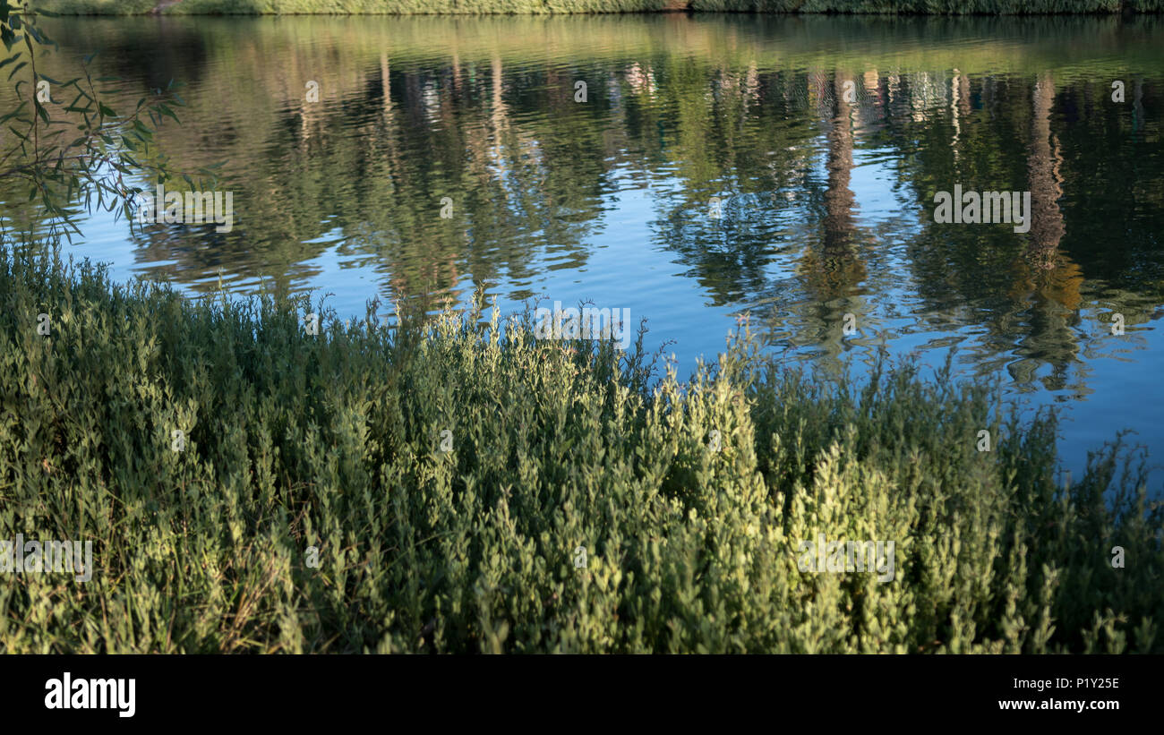 Yarkon river landscape, Tel Aviv Israel Stock Photo - Alamy