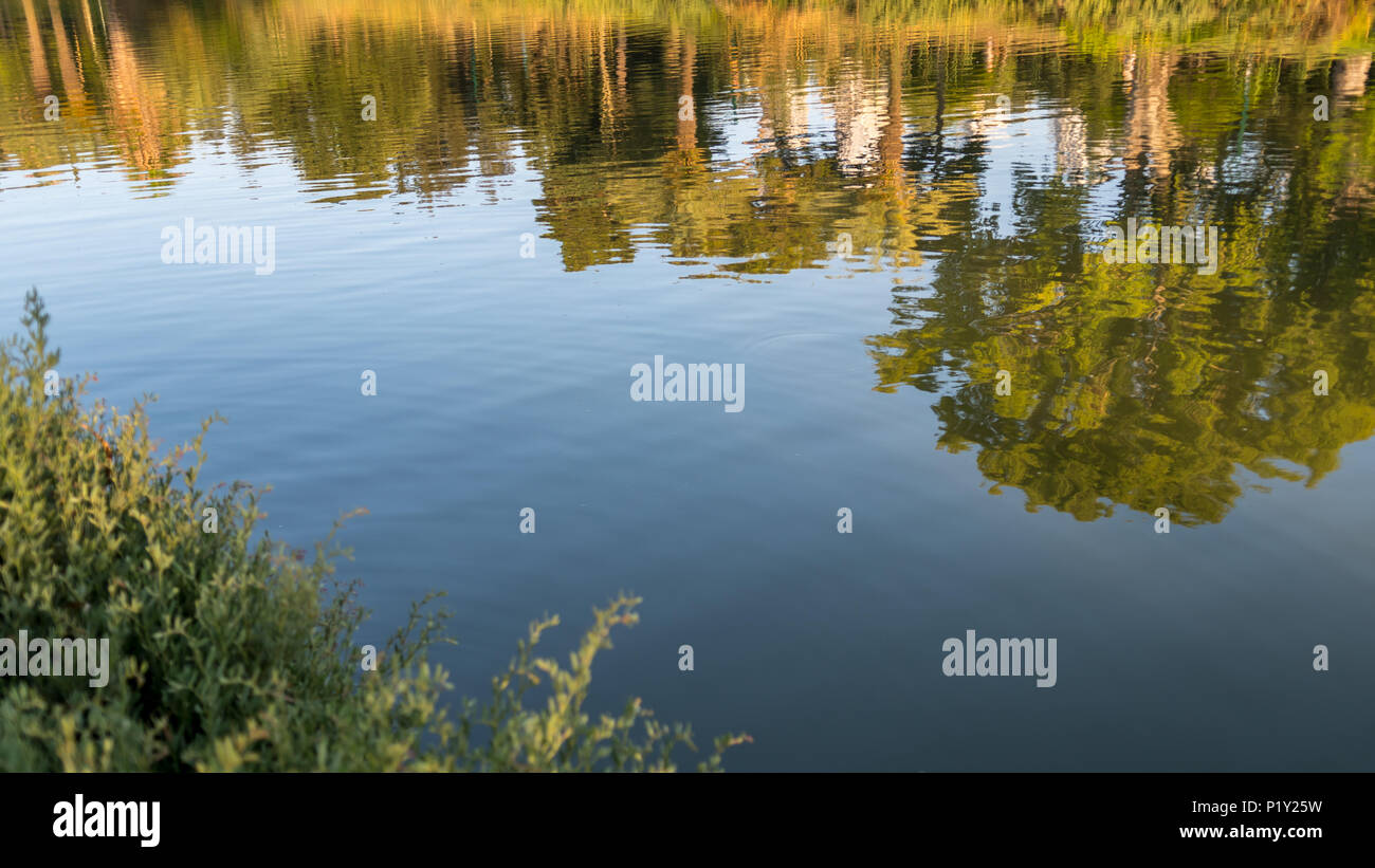 Yarkon river hi-res stock photography and images - Alamy