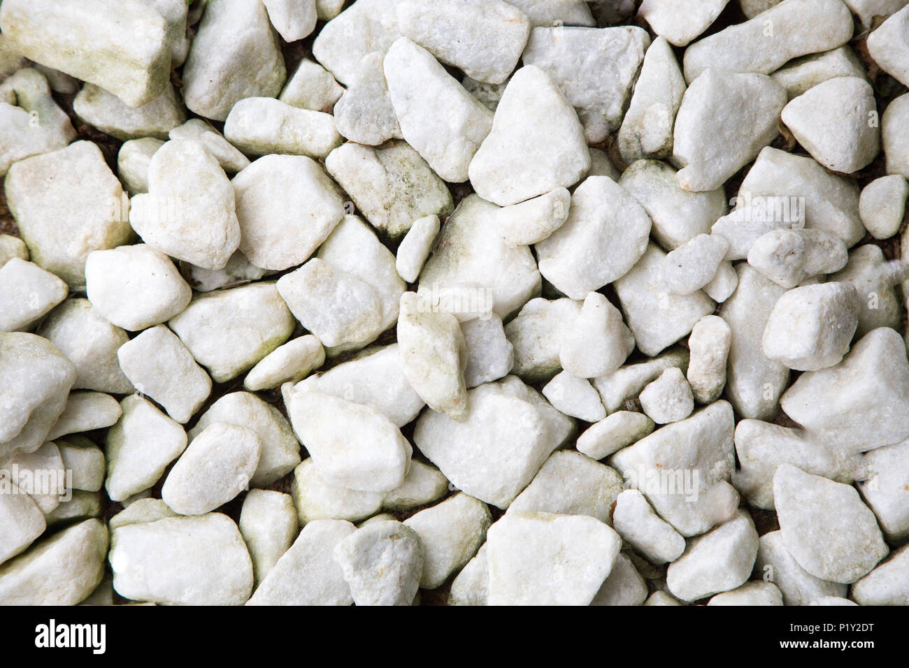 white stone texture background. rocky, stony texture. cobblestone Stock ...