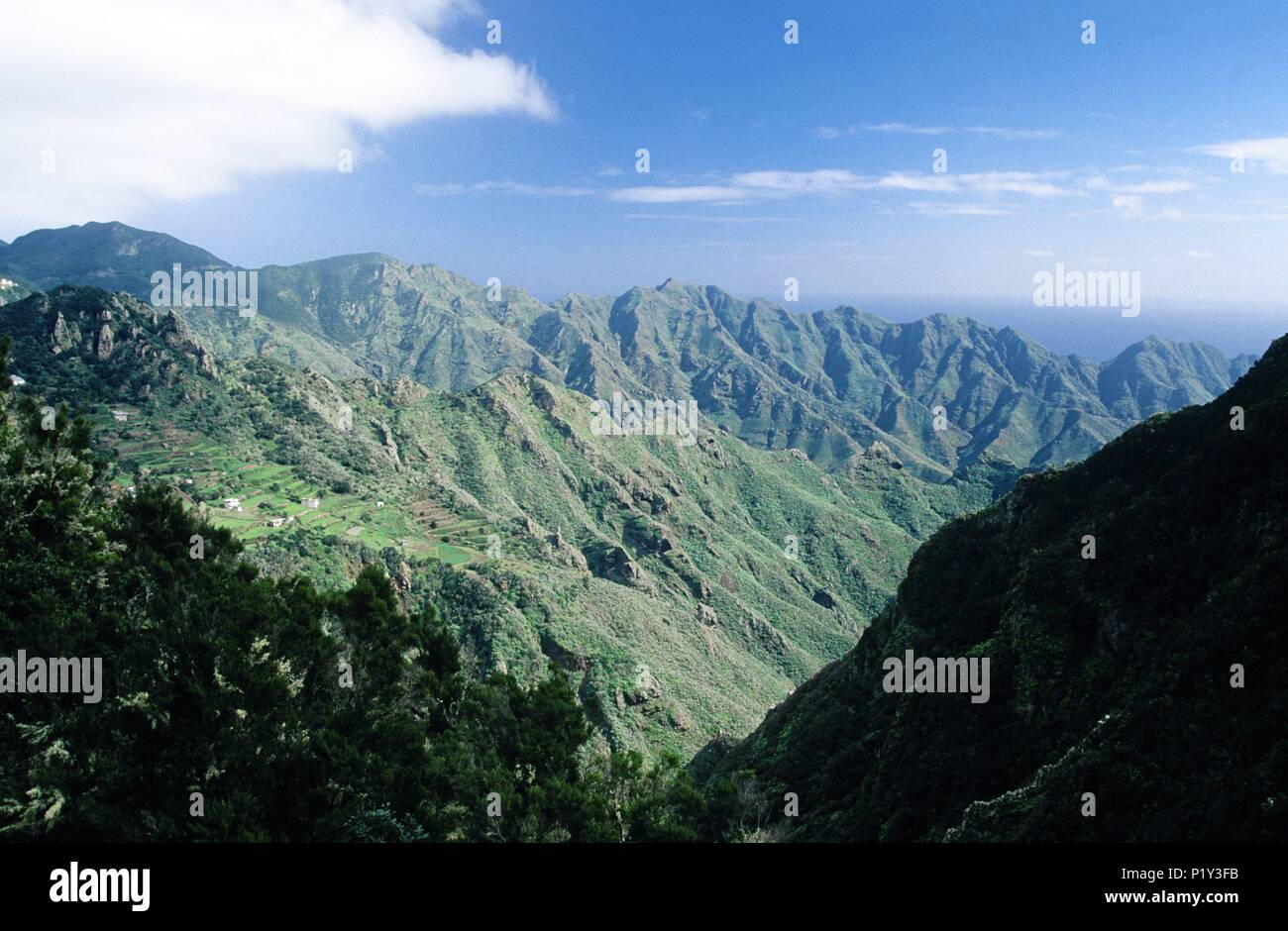 Parque Natural de / Anaga Natural Park; Anaga hills Stock Photo - Alamy