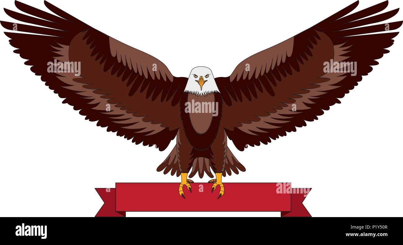 american bald eagle emblem with ribbon vector illustration design Stock ...