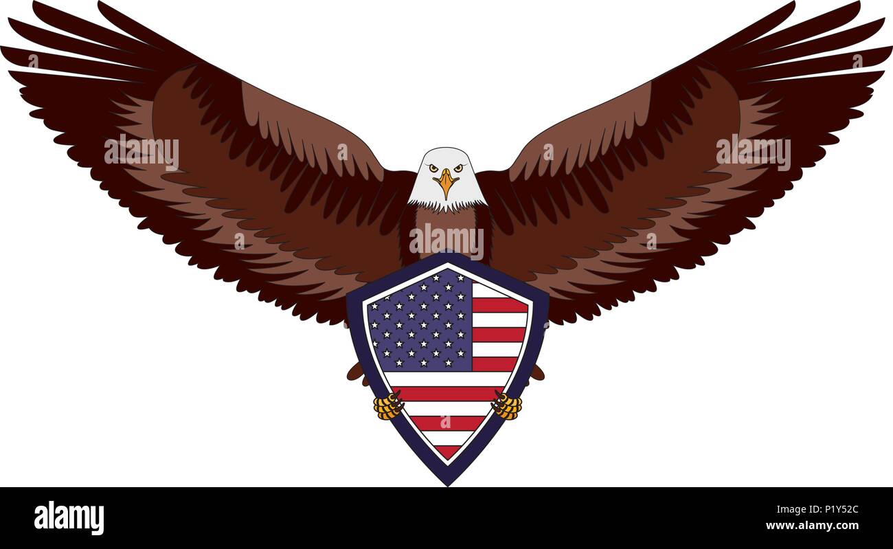 american bald eagle shield vector illustration design Stock Vector ...