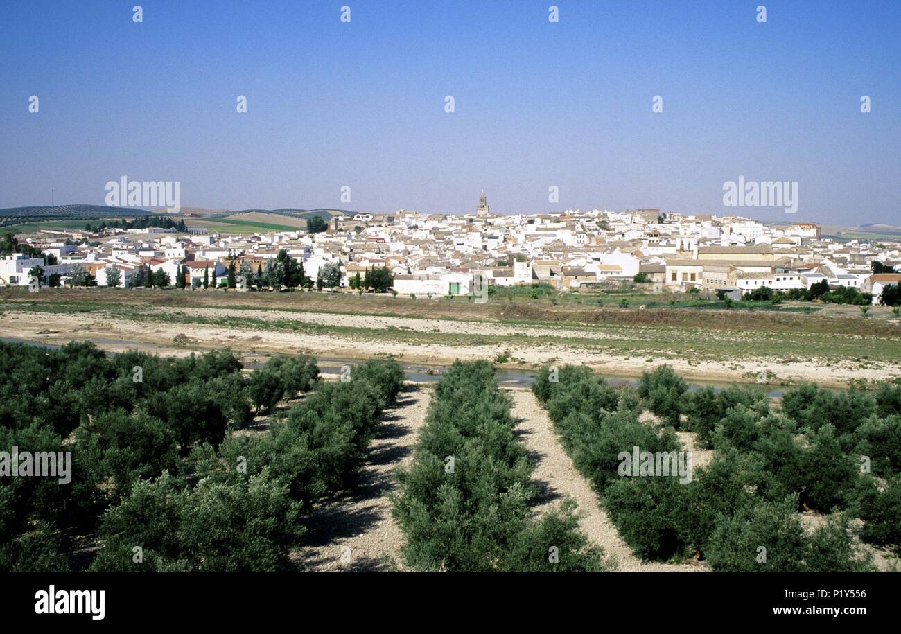 Castro del Río, town and olive tree fields Stock Photo - Alamy