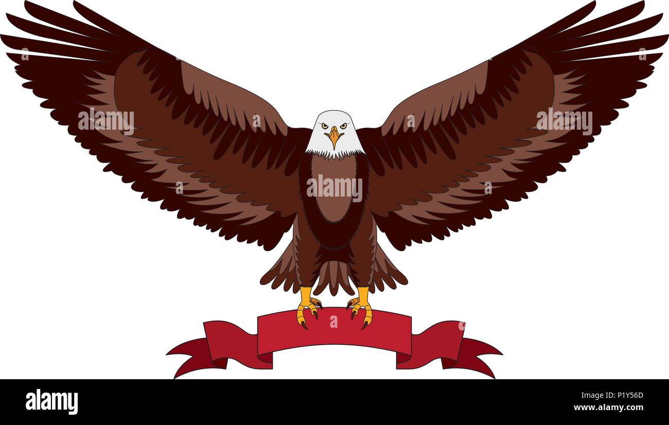 american bald eagle emblem with ribbon vector illustration design Stock ...