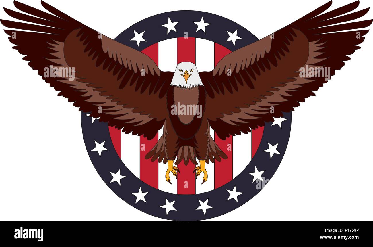 american bald eagle circular emblem vector illustration design Stock ...