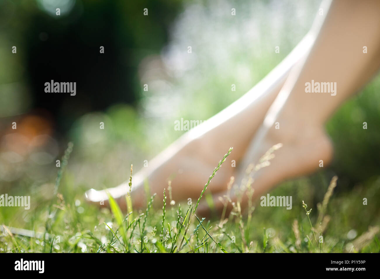 female legs walking on green grass Stock Photo - Alamy
