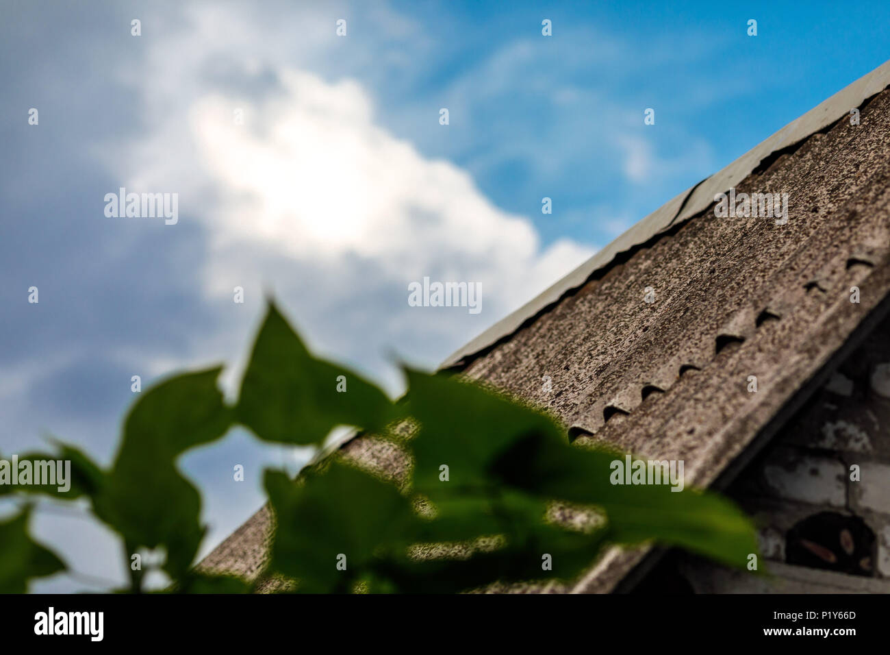 old slate roof Stock Photo - Alamy