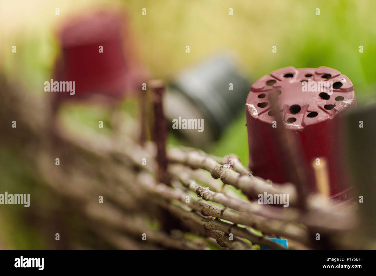 Willow rods hi-res stock photography and images - Alamy