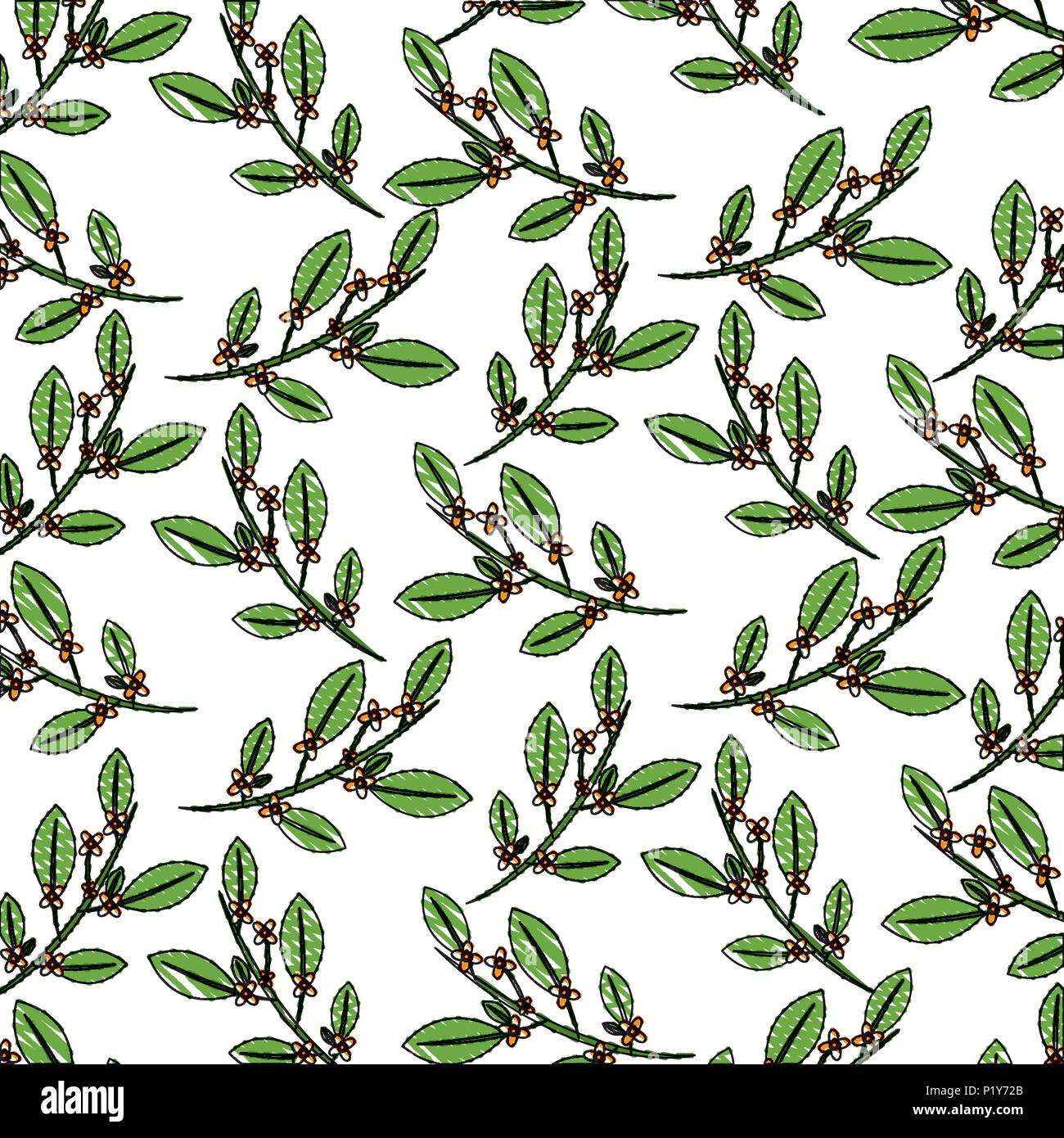 branches natural seeds botanical design background vector illustration ...