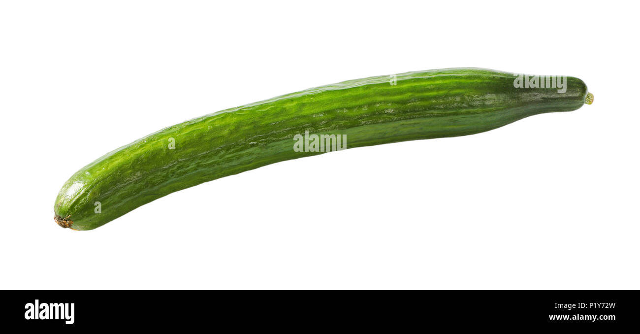 single long cucumber on white background Stock Photo - Alamy