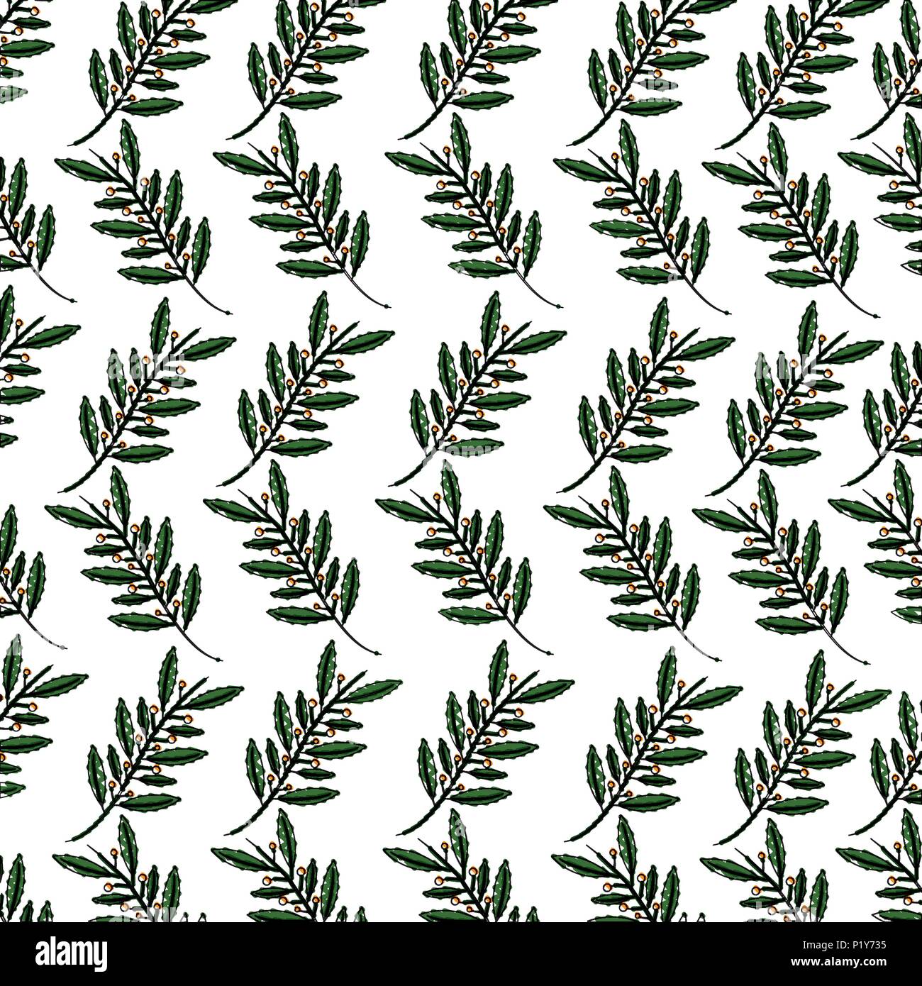 branches natural seeds botanical design background vector illustration ...