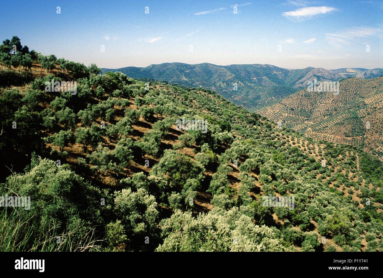 Obejo, mountain landscape from a vantage point Stock Photo - Alamy